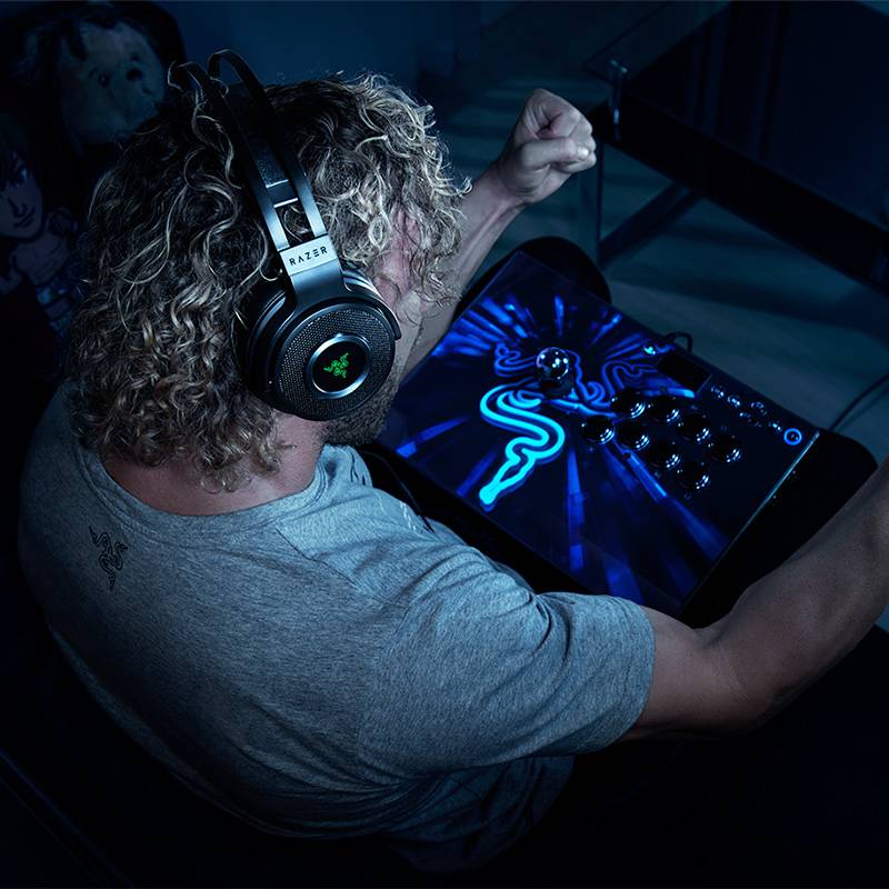 Razer Panthera Evo Controller Cheetah Arcade Evolution PS4 Fighting ...